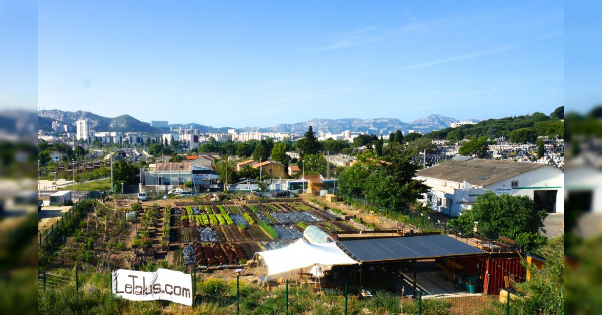 LE TALUS | Tarpin bien