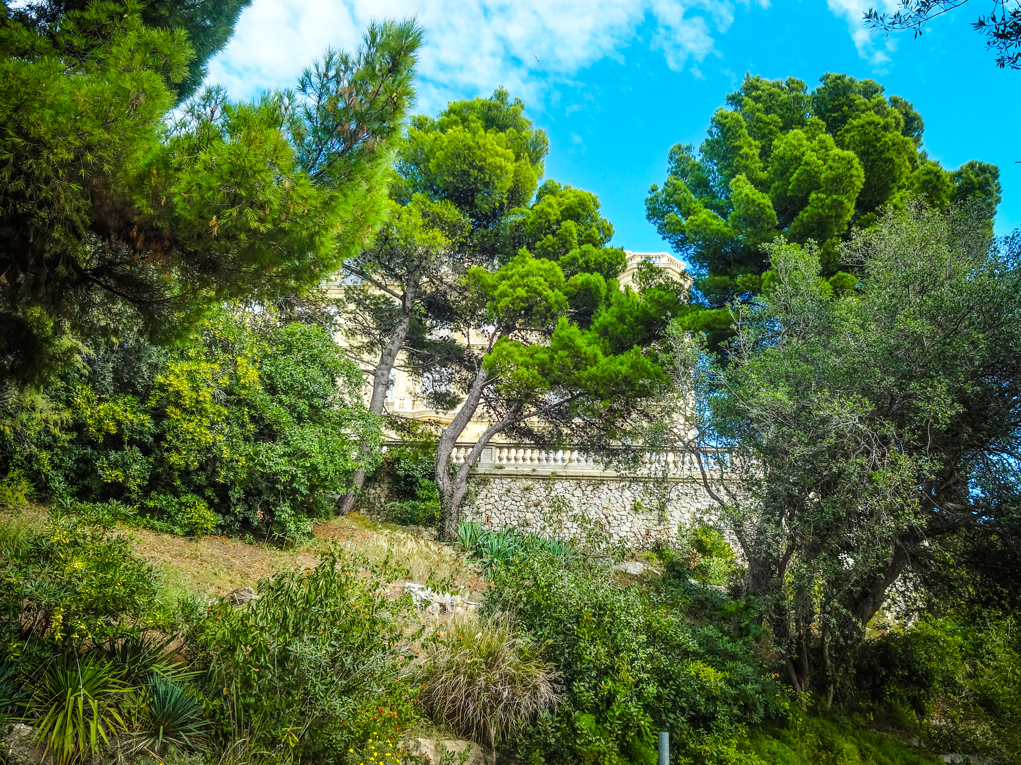 Parc de la Villa Valmer - Tarpin bien