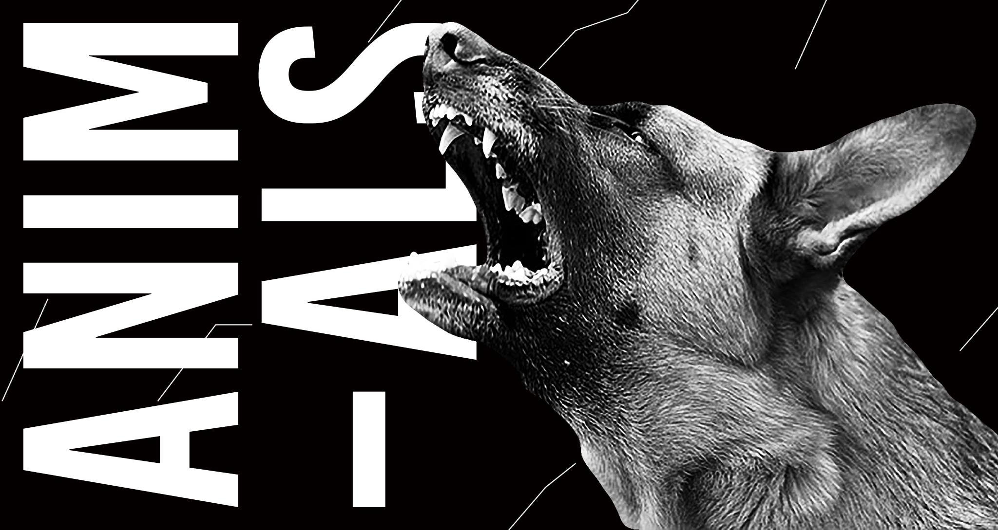 Animals House to techno Vol.3 - Tarpin bien