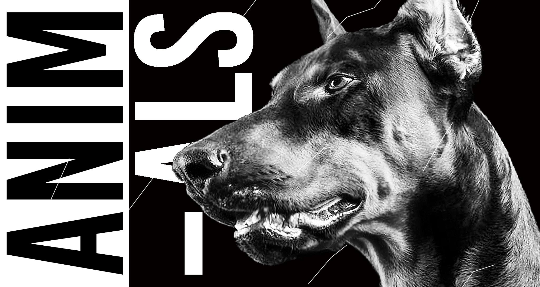 Animals House to techno Vol.6 - Tarpin bien