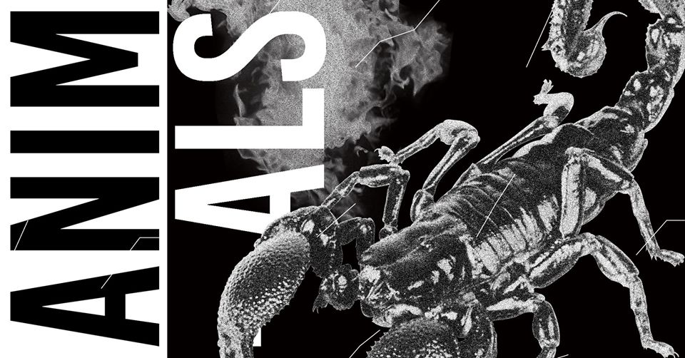 Animals House to techno Vol.12 - Tarpin bien
