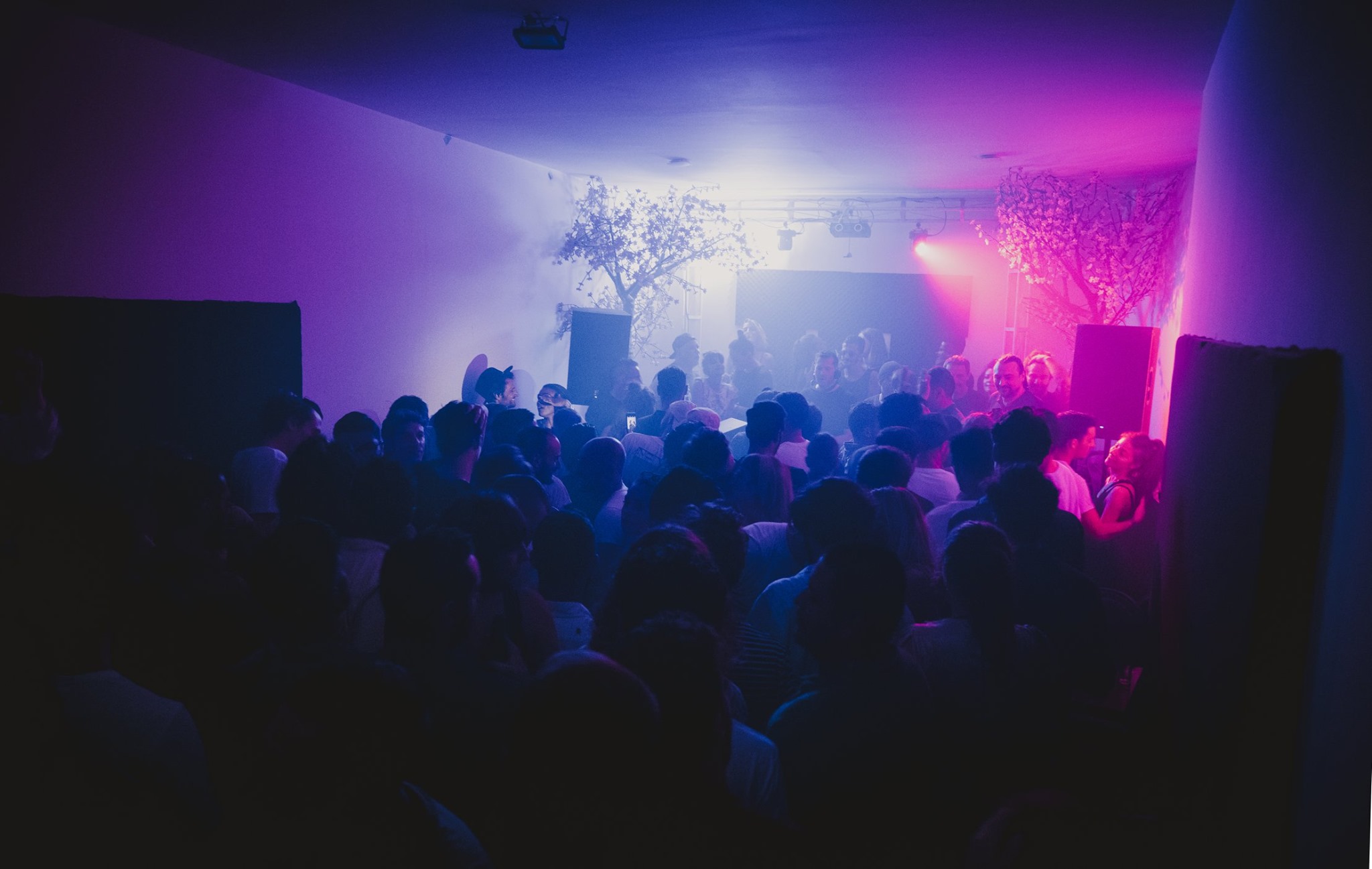 Danceteria - Tarpin bien