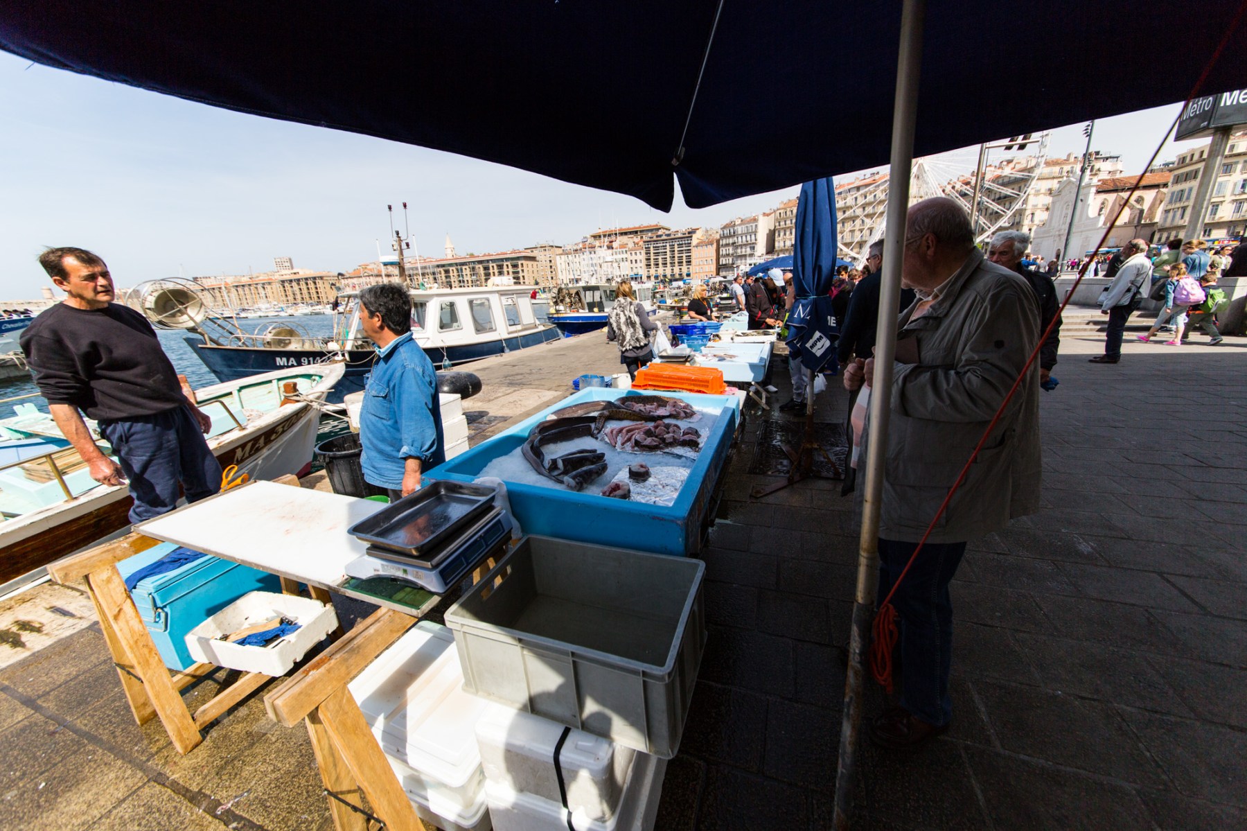Marché aux poissons du Vieux Port - Tarpin bien